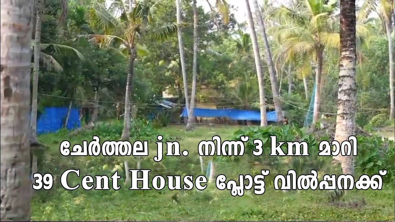 ചേർത്തല jn നിന്ന് 3 km മാറി 39 Cent പ്ലോട്ട് വിൽപ്പനക്ക് Direct Owner ...