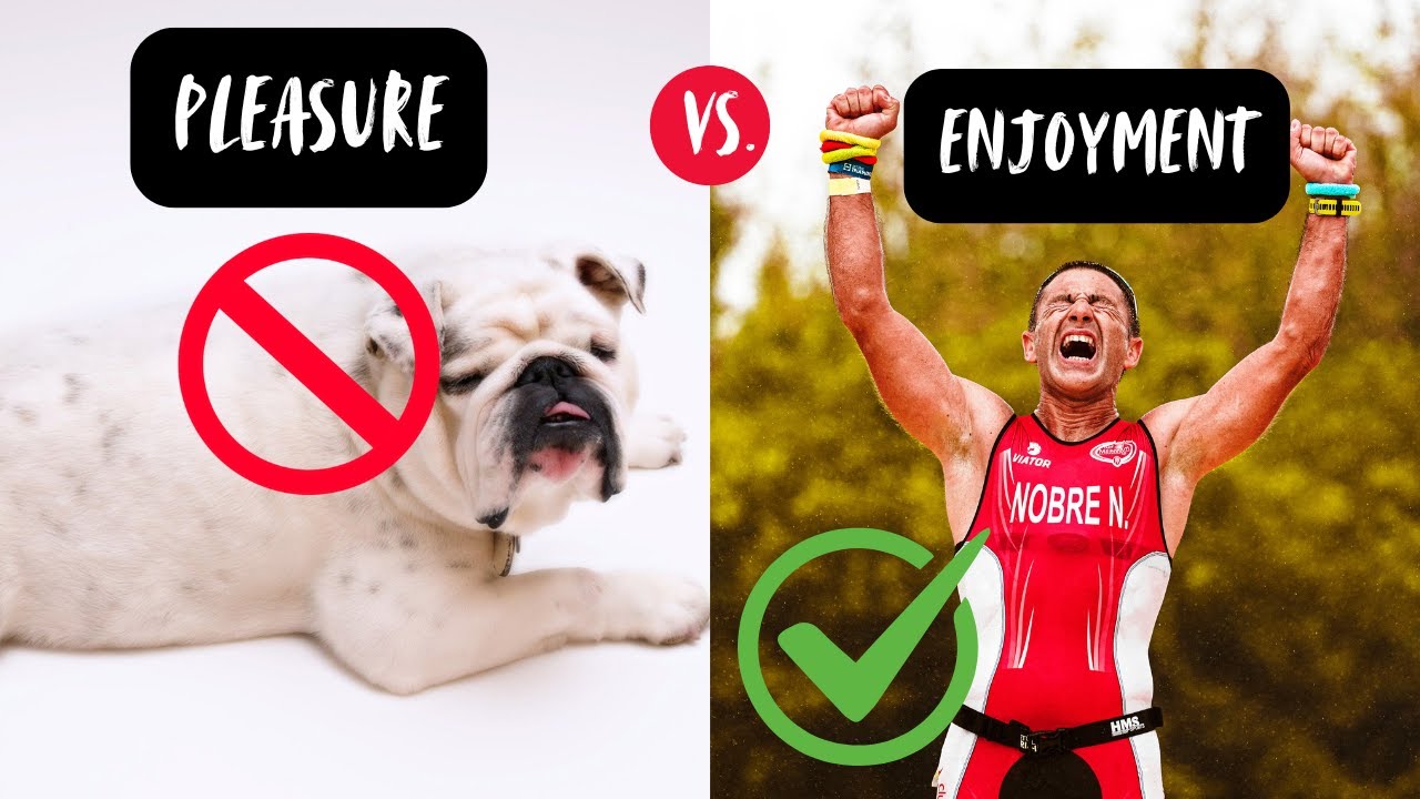 Why PLEASURE Is Greater Than Enjoyment - YouTube