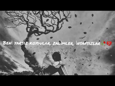 Dalarımı Kırdılar