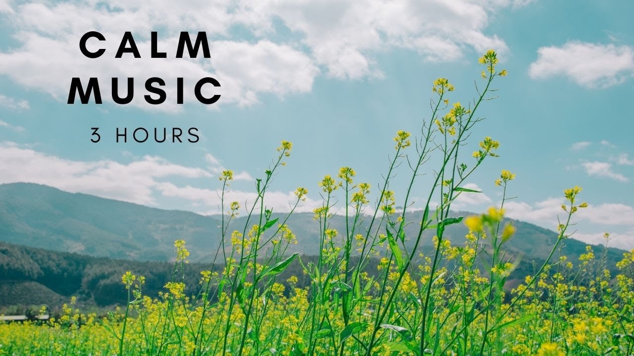 Beautiful Calm Relaxing Music, Peaceful Soothing Music. Sunny Mornings ...