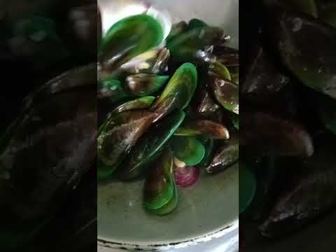 ginisang Mussels shell - YouTube
