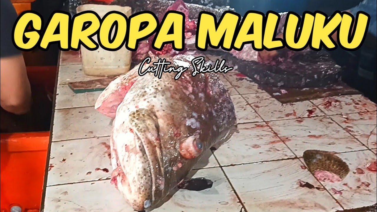 Potong Ikan Kerapu/Garopa Jumbo di Pasar Mardika Ambon || Kota Ambon ...