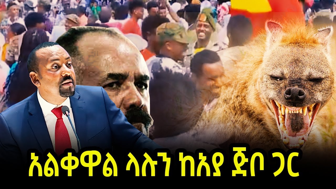 aya jibo |አልቀ-ዋል ላሉን | አያ ጅቦ | aya jibo official today - YouTube