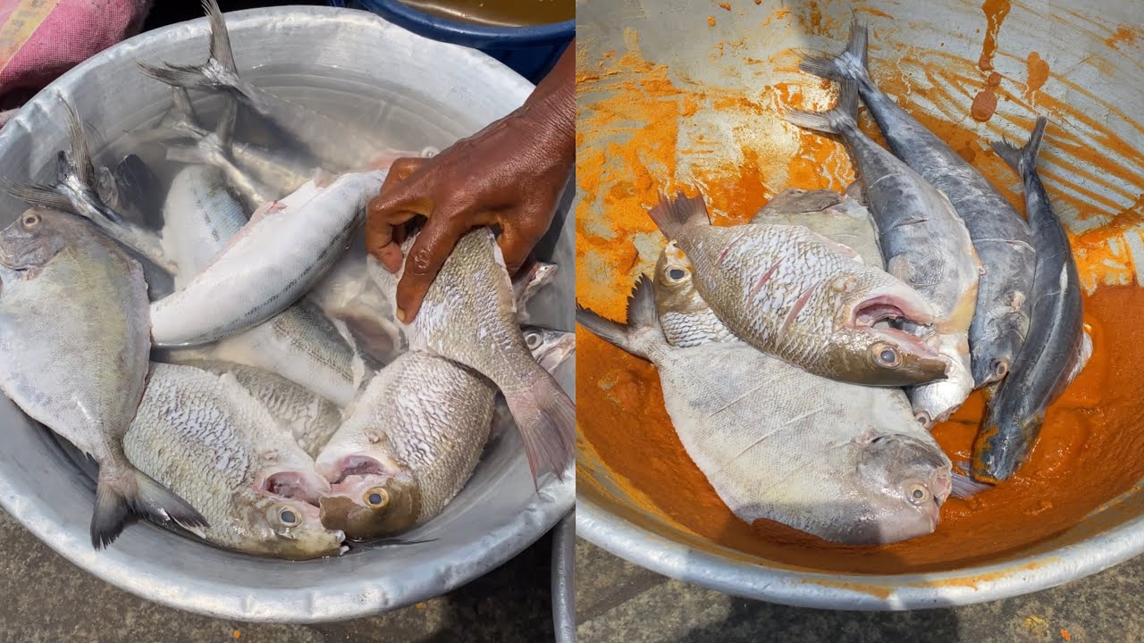 Big pomfret fish frying with hands - Indian Street Food - YouTube