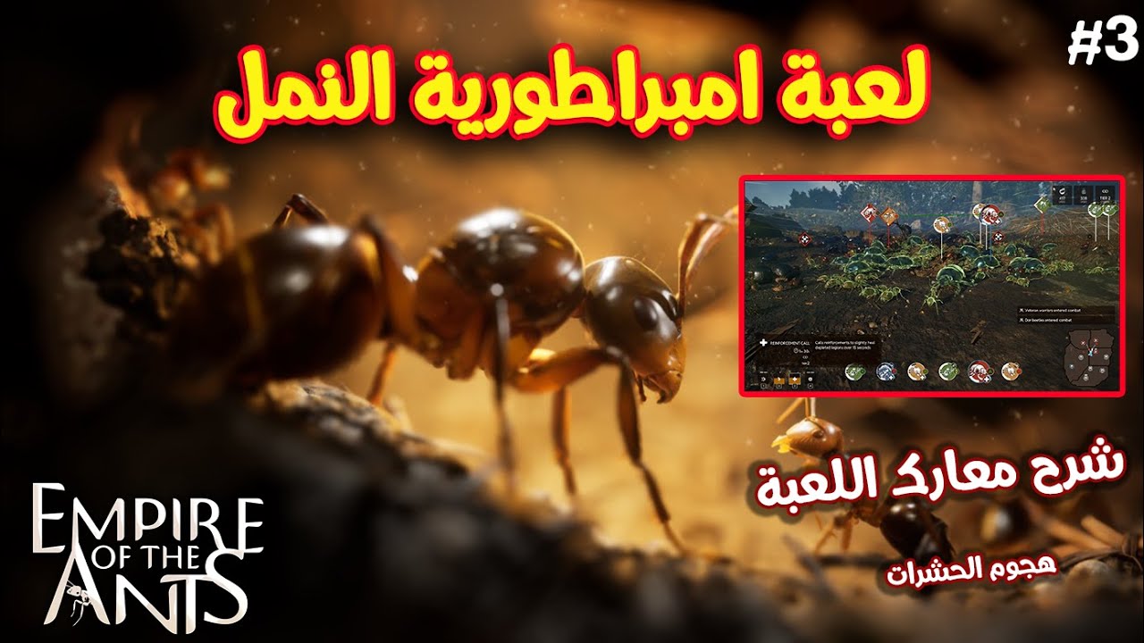 لعبة امبراطورية النمل المعارك الطاحنة Empire of the ants# 3 - YouTube
