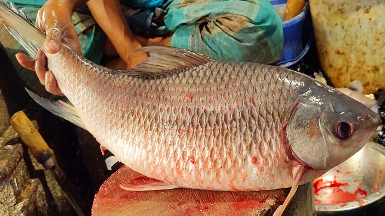Amazing Cutting Skills | Live Rohu Fish Cutting Skills Live In ...