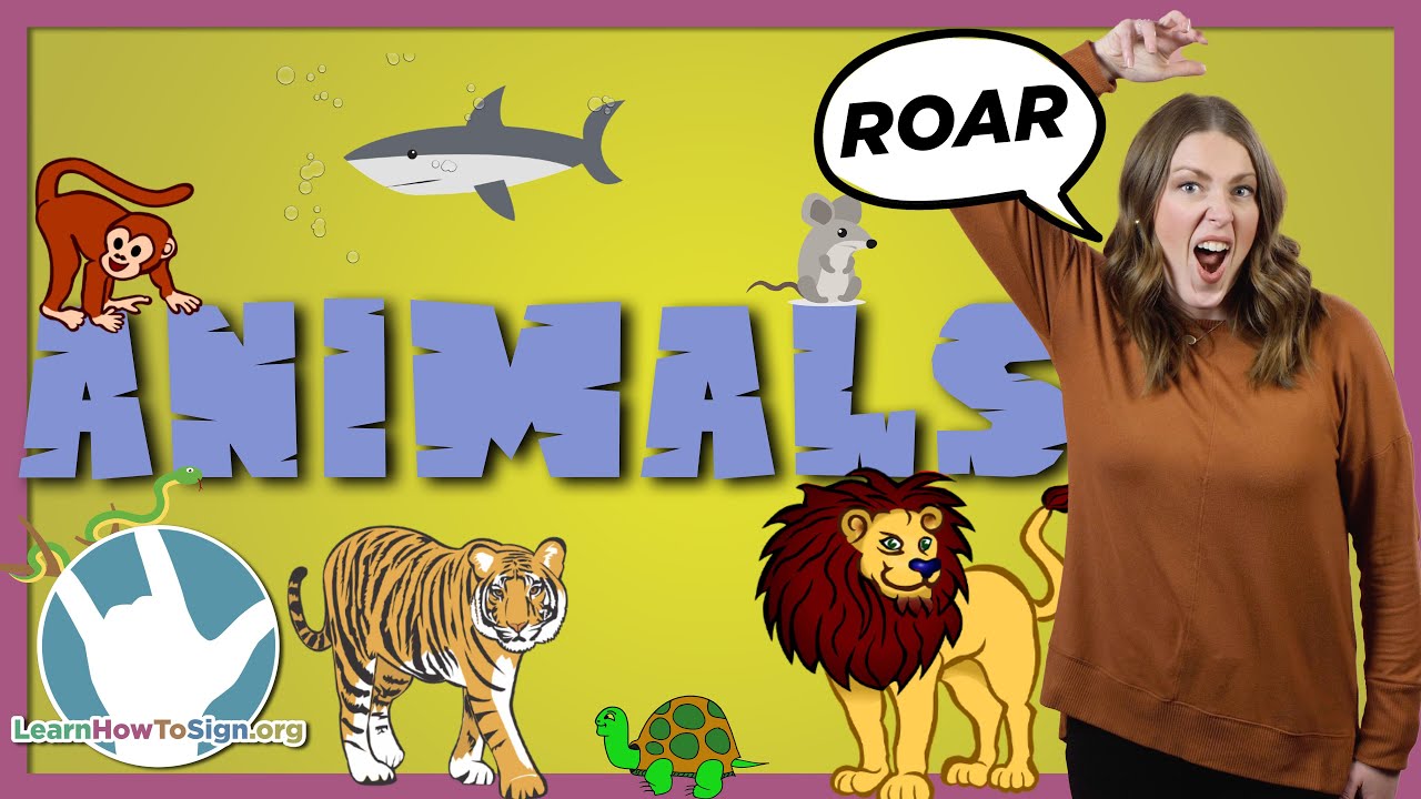 50 Animal Signs In ASL Part 2 Sign Language For Beginners YouTube 50 Animal Signs In ASL Part 2 Sign Language For Beginners YouTube