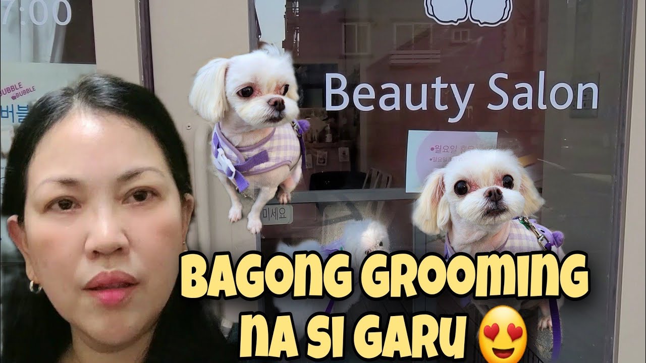 grooming-time-ni-doggie-youtube