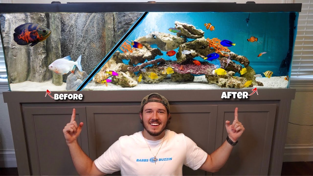 TRANSFORMING AQUARIUM Into a TROPICAL FISH PARADISE! - YouTube