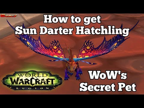 How to get the Sun Darter Hatchling Pet wow's Secret Hidden Pet - YouTube