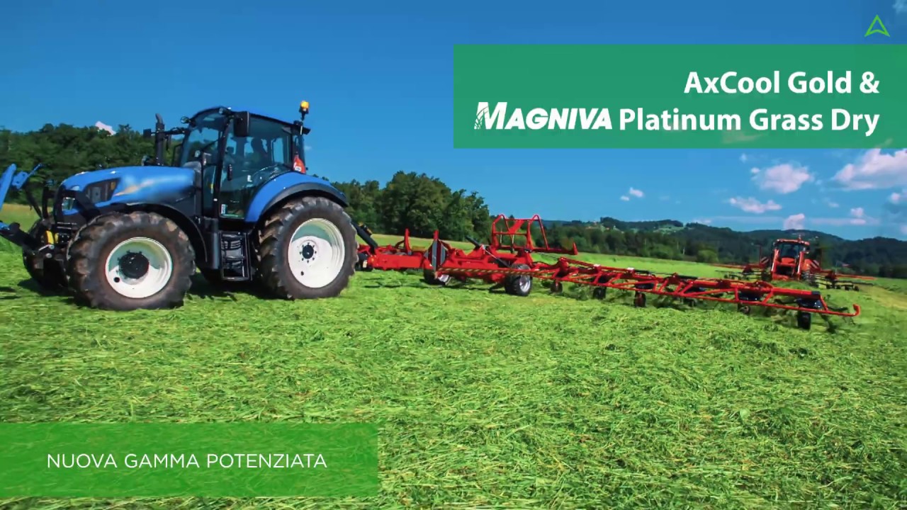 axcool gold e magniva platinum grass dry - YouTube