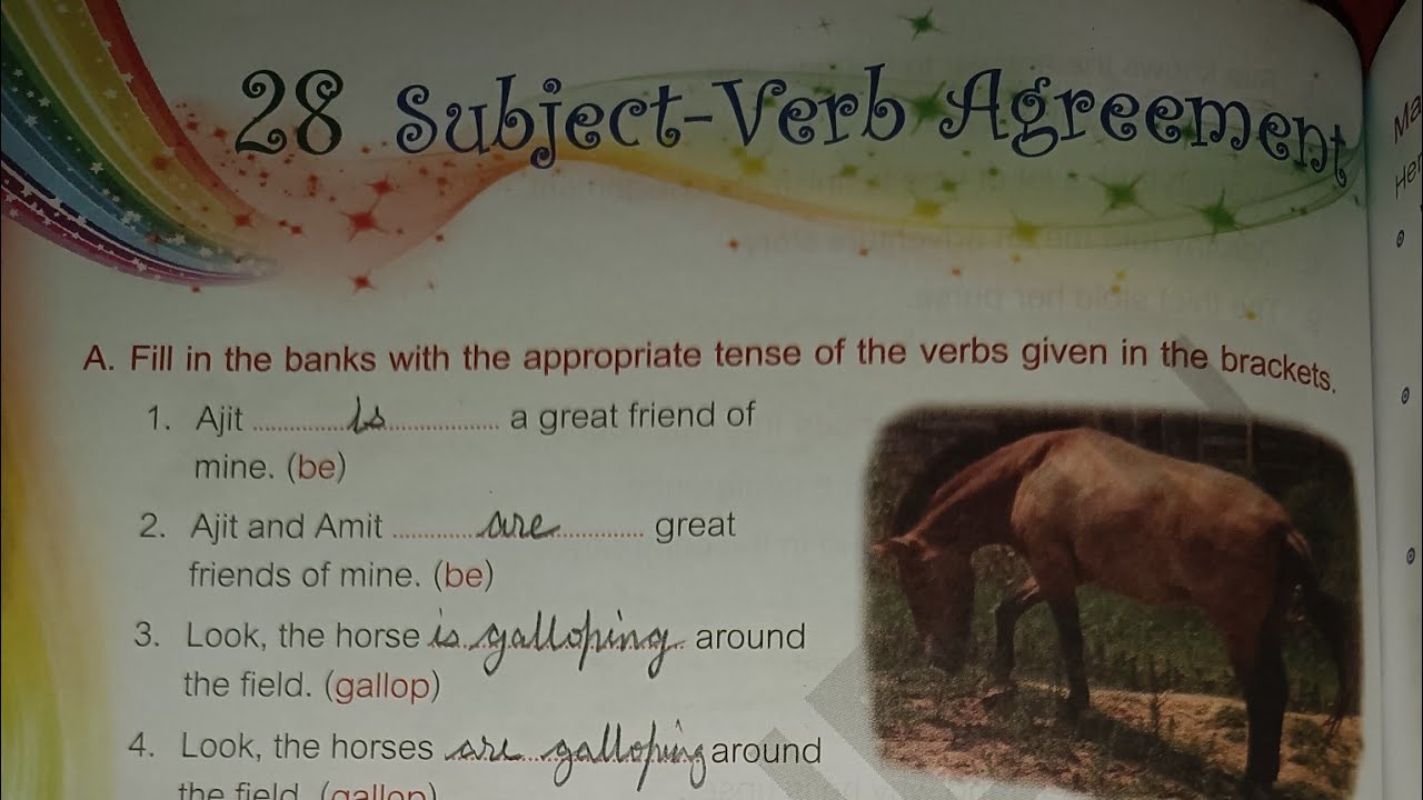v "Subject-Verb Agreement" exercises with answers - YouTube