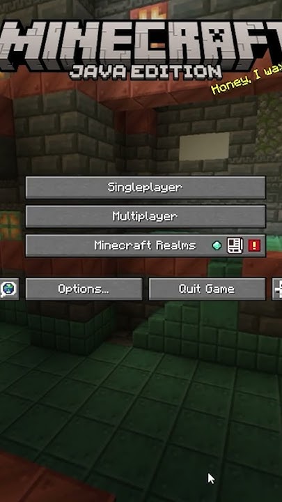 Shrimp's Immersive Interfaces in Minecraft #shorts - YouTube