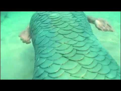 Mermaids in Motion Real Live Mermaid Promo - YouTube