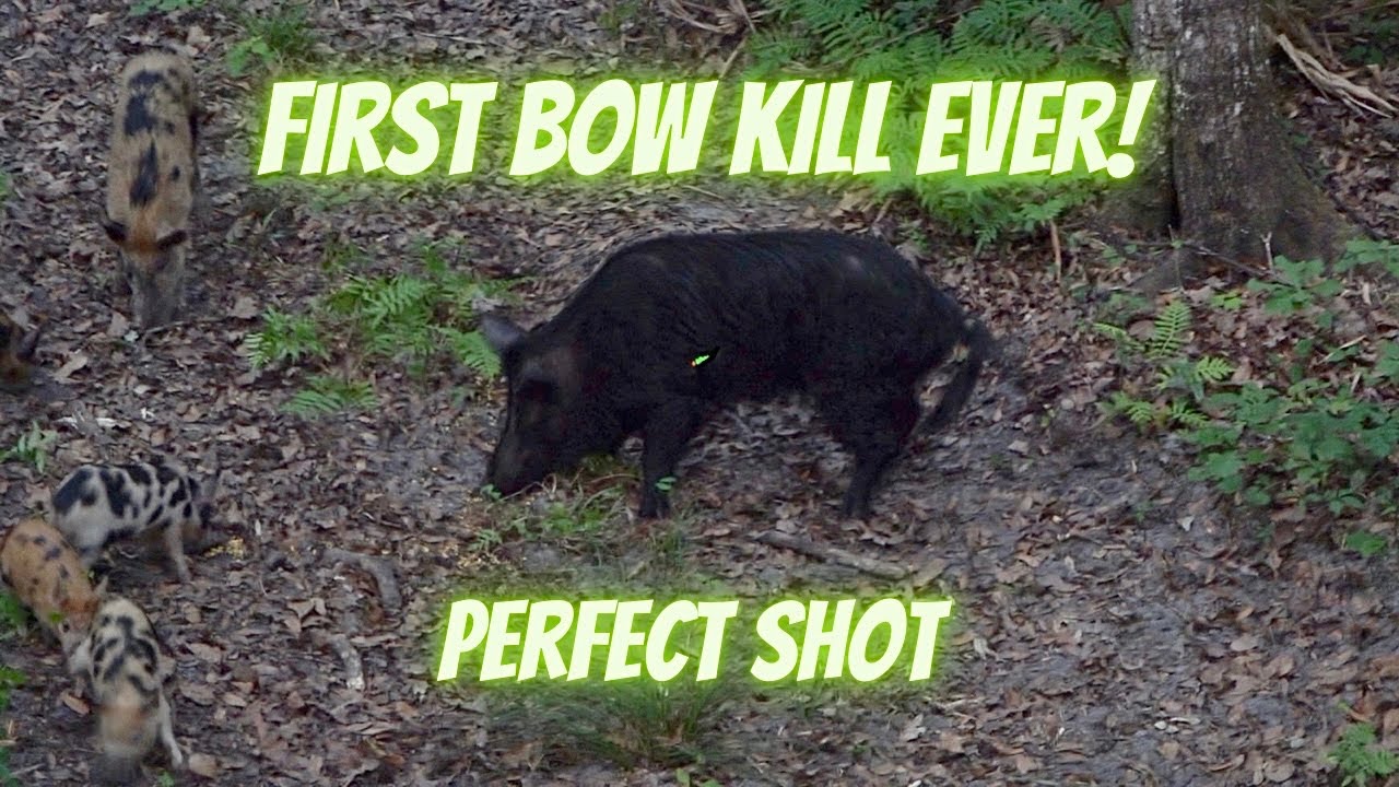 First Bow Kill Ever! PERFECT Shot! - YouTube