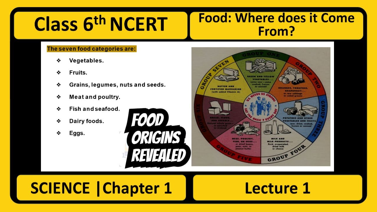 Where Does FOOD Come From In Class 6th Science? Chapter 1 - Lecture 1 ...