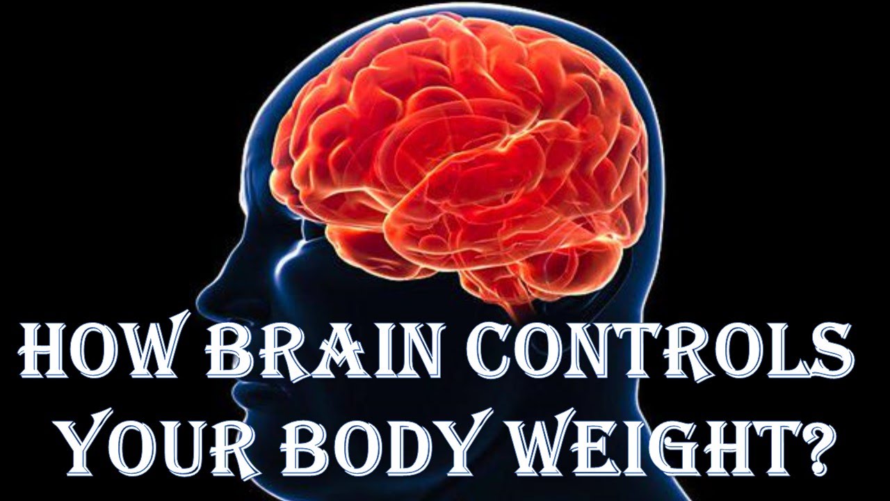How Brain Controls Your Body Weight - YouTube