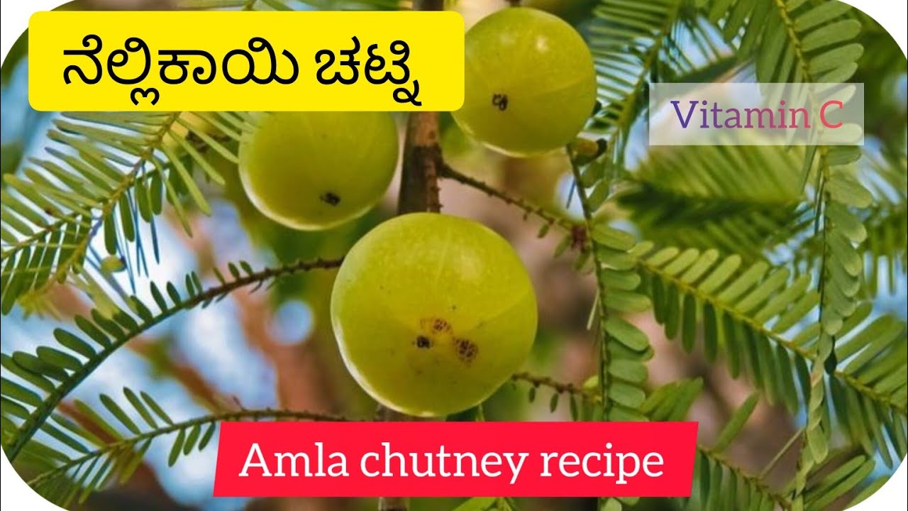 Amla chutney recipe | Gooseberry recipe | Nellikayi chutney | Amla ...