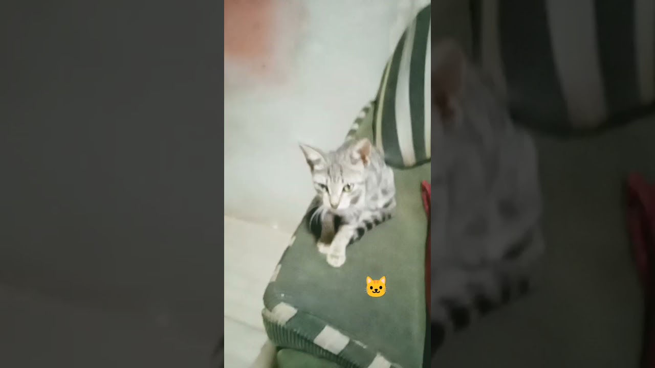 21 de outubro de 2022 - YouTube