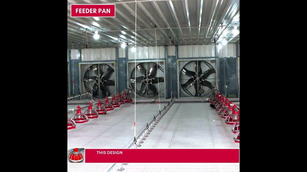 Asian Poultry Tech Feeder Pan #poultryfarming #poultryequipment #poultryfeeder - YouTube