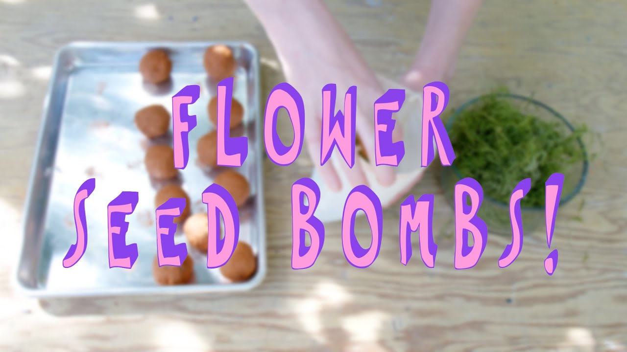 MOTHER'S DAY Gift Idea: Flower Seed Bombs! (Smart Life Hacks) - YouTube