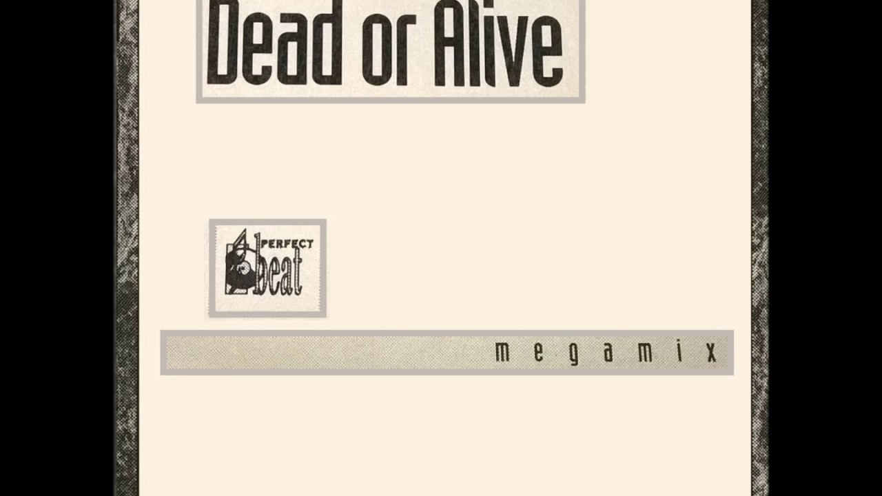 Dead Or Alive Perfect Beat Megamix - YouTube
