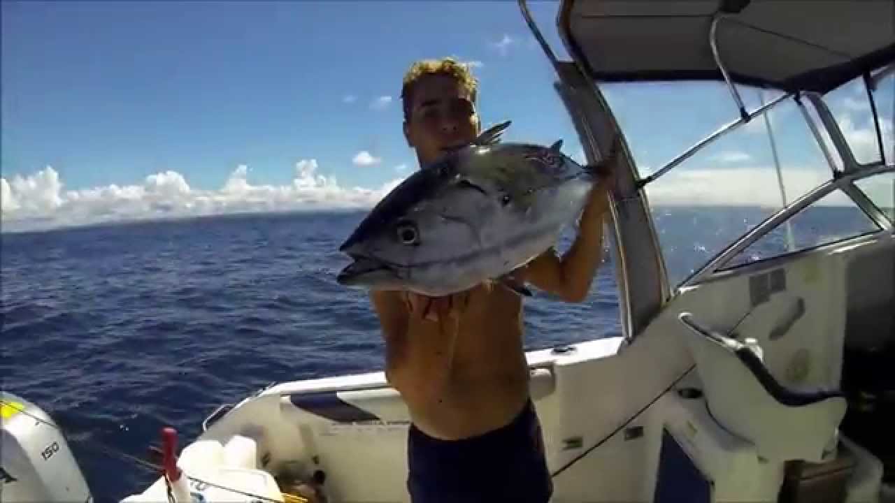 Spearfishing Freediving Australia - YouTube