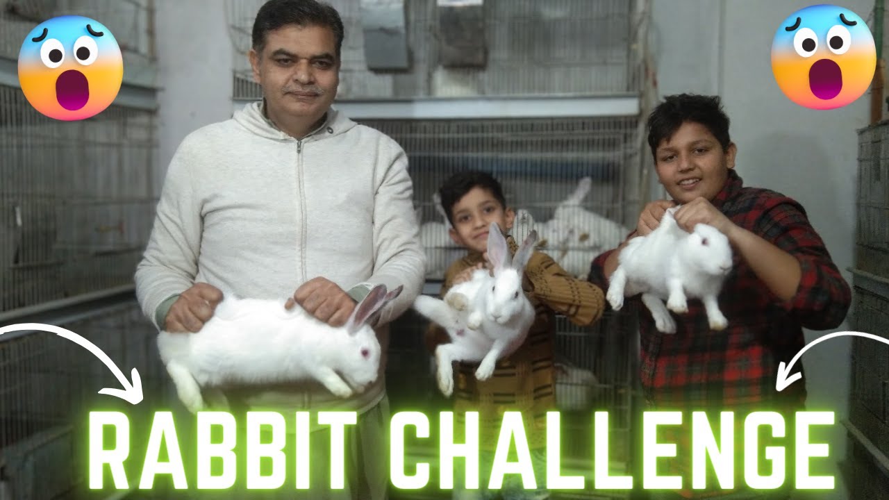 RABBIT CHALLENGE WOW 😱😱😱😱 - YouTube