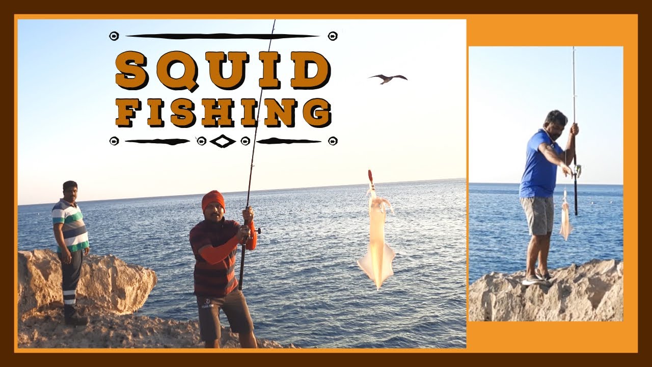 Squid catching with lures.. (കൂന്തൾ ചാകര വന്നേ..) | Oman | Salalah ...