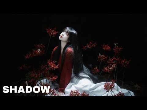 The Shadow - The Last (Official Audio)