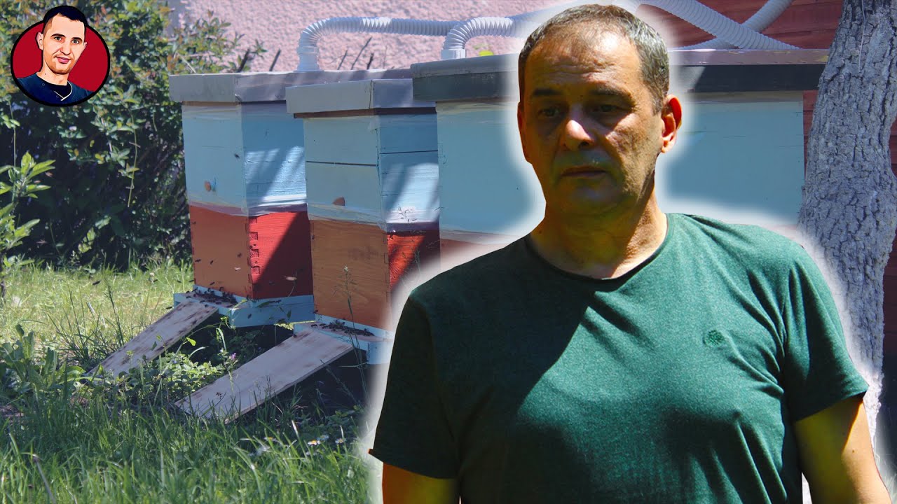 Api komora u Zenici liječi najteže bolesti - YouTube