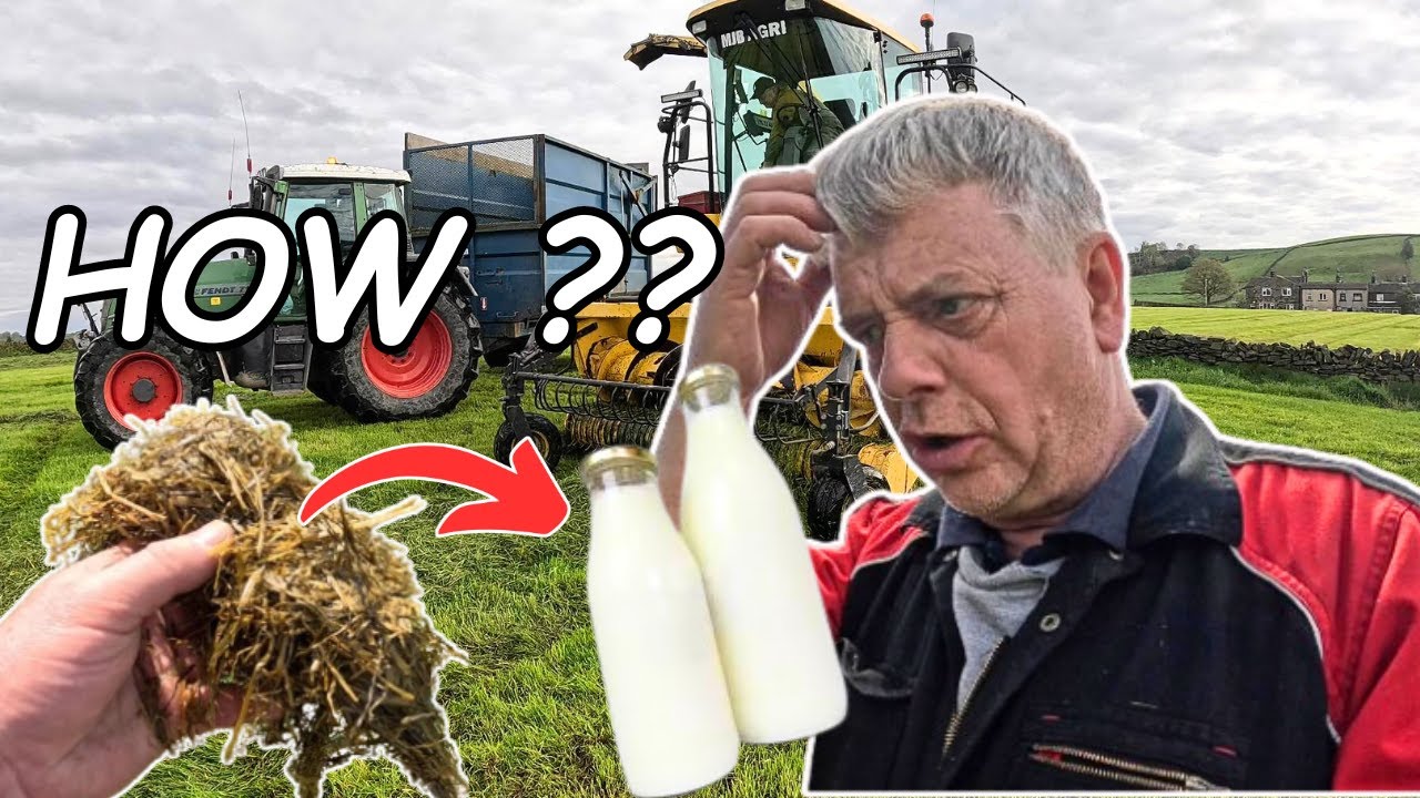 Yorkshire Farm: The Fascinating Process of Making Silage for Dairy Cows ...