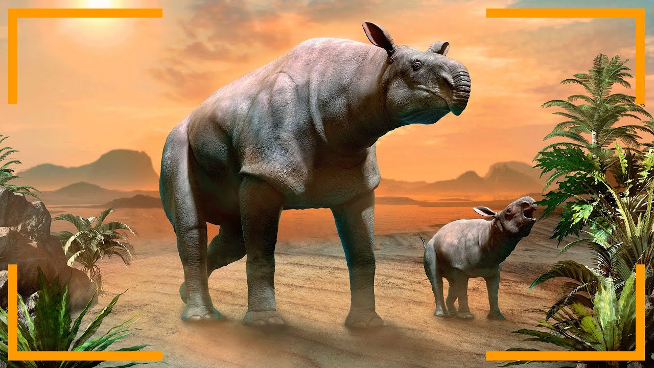 Lo que no conocías del "Indricotherium" - YouTube