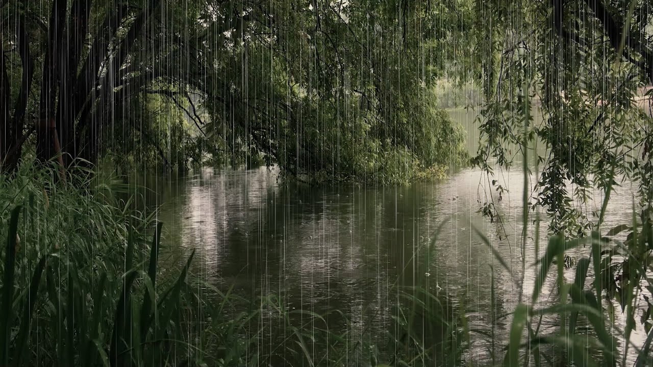 Cozy Rain│Calm│Relax│White Noise│Peaceful│Rain sounds for sleeping ...