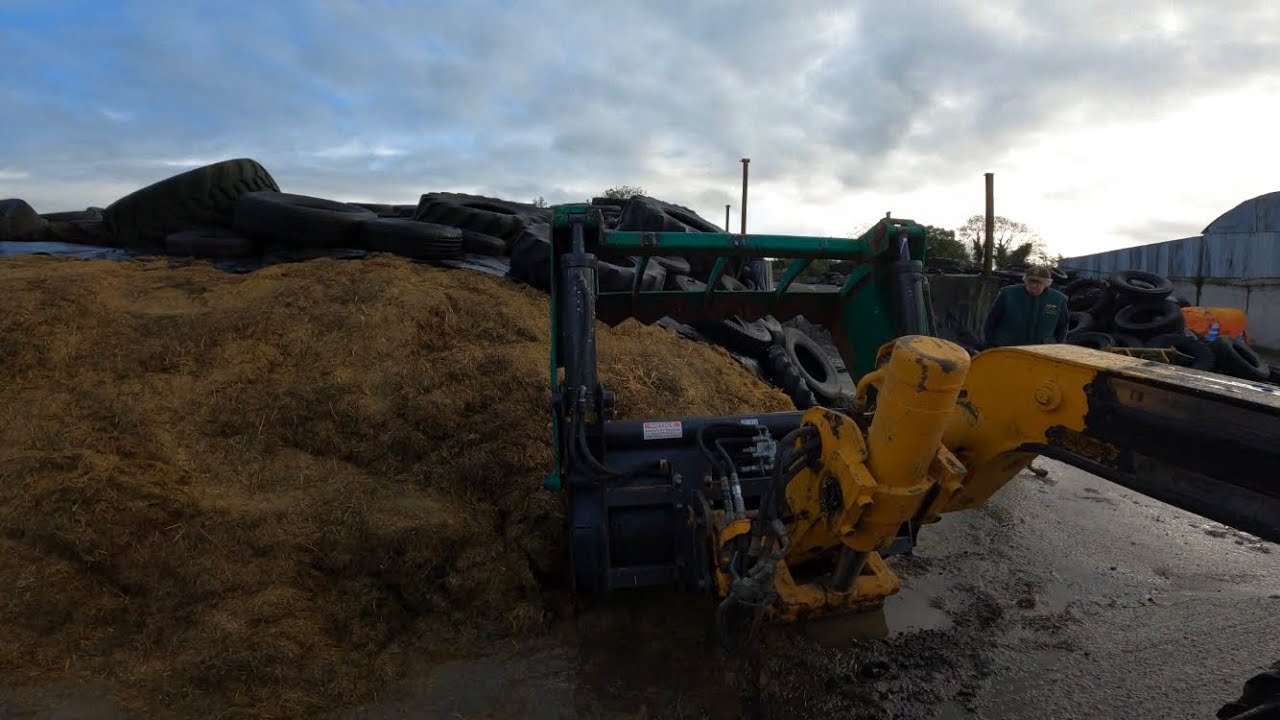 BEST SILAGE WE'VE MADE IN YEARS -- OPENING THE SILAGE PIT - YouTube