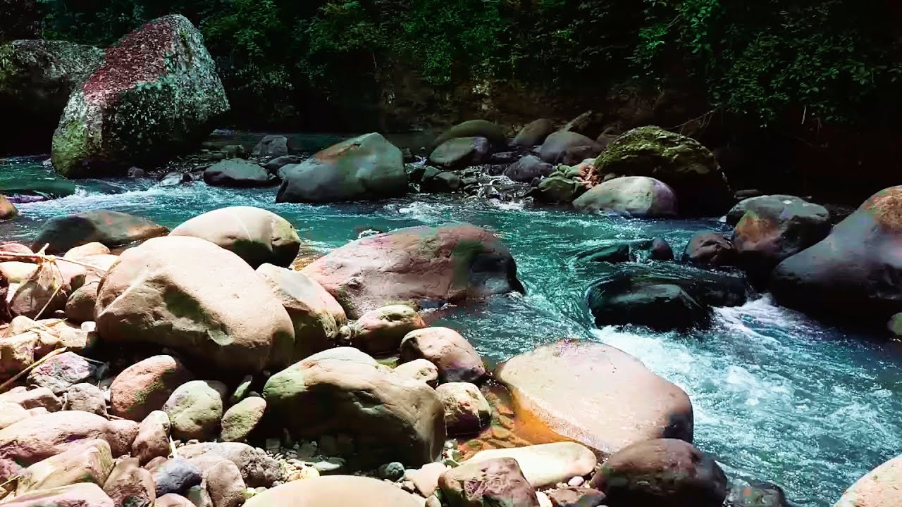 03/03 Nature's Therapy River's Peace for the Soul deep sleep meditation and Rainforest ...