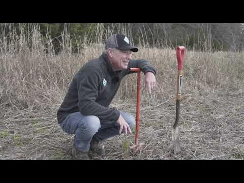 Tree Planting Tutorial - YouTube
