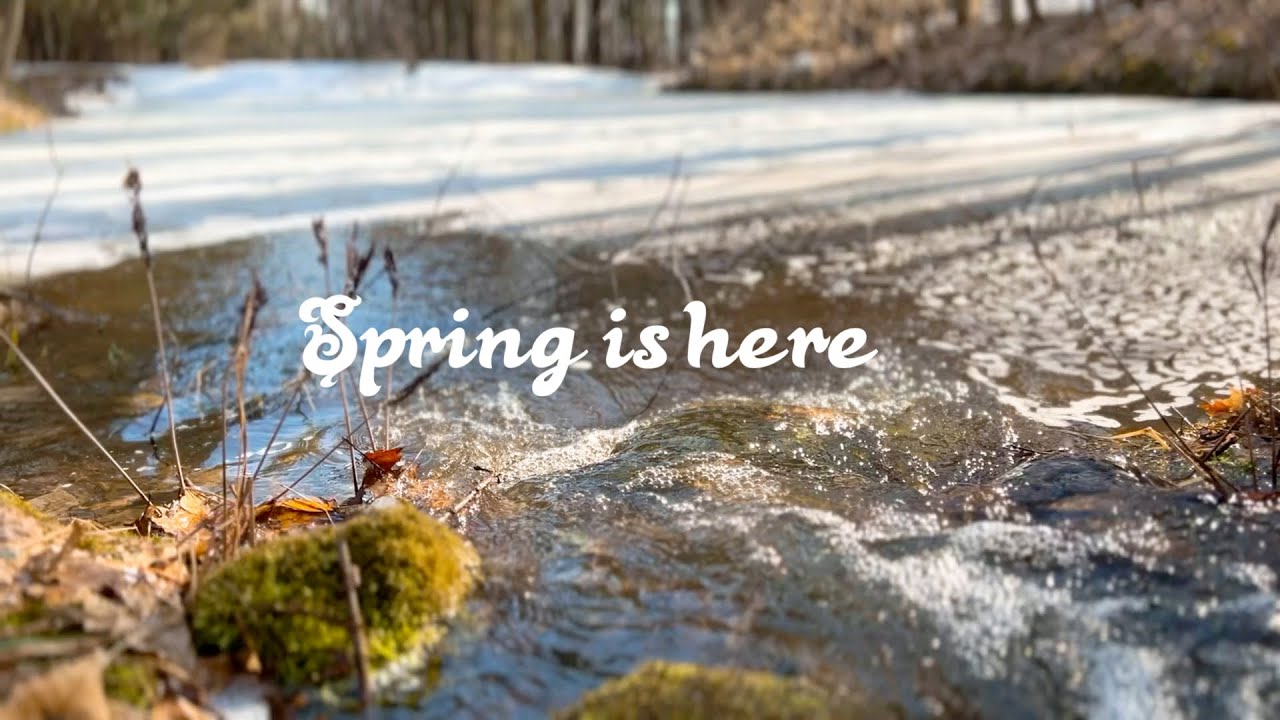 Vermont creeks in early Spring - Very relaxing. - YouTube