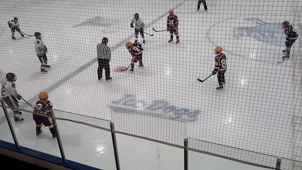 Warwick Wildcats vs Hatfield Ice Dogs Semi final pee wee 8 6 2016 - YouTube