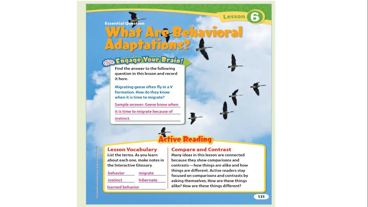 Behavioral Adaptations - YouTube