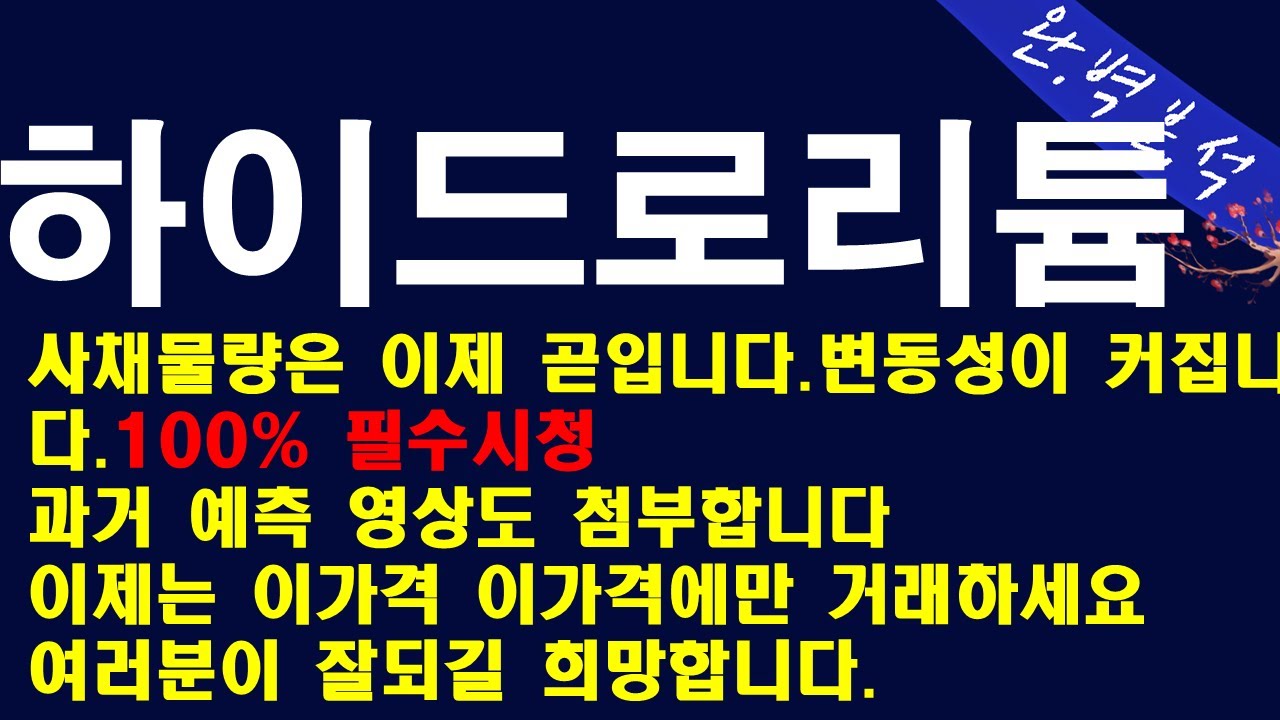 하이드로리튬 이날과 이날은 상한가 하한가 날짜를 적어놨습니다 리튬플러스 테라사이언스 리튬포어스목표가 전환사채 리튬