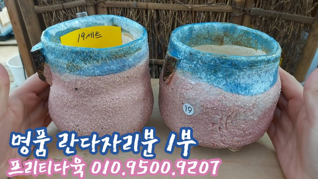 오늘은 프리티데이 명품 란다자리분 1부 💕프리티다육 01095009207 유료광고포함 Youtube