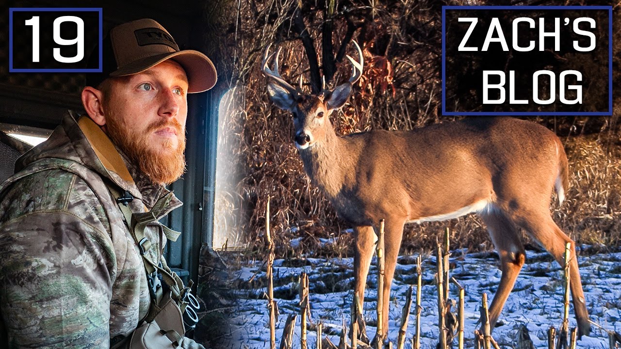 Late Season Food Plot Strategy, Back In The Saddle! | Zach's Blog # ...