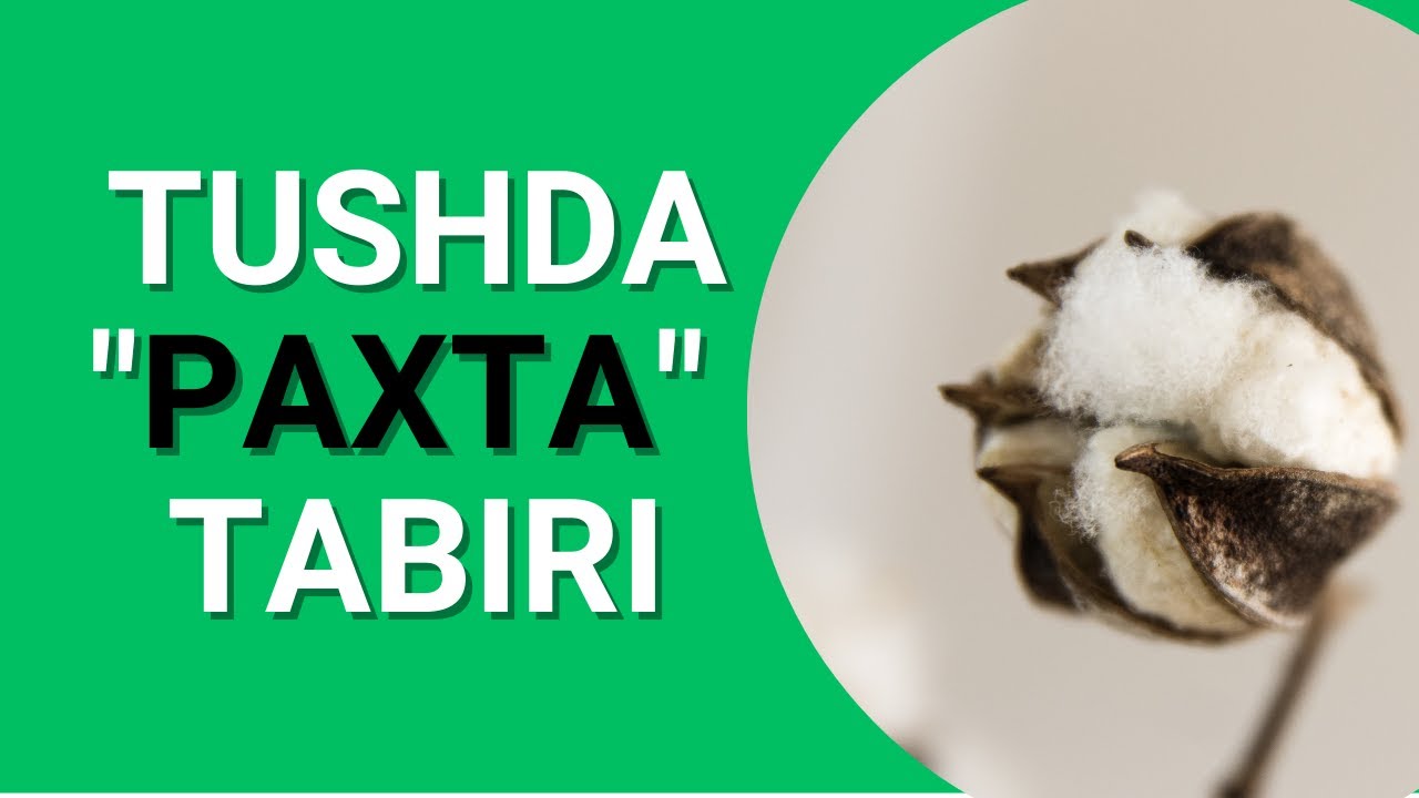TUSHDA PAXTA TABIRI | TUSHDA PAXTA KO'RSA NIMA BO'LADI..! - YouTube