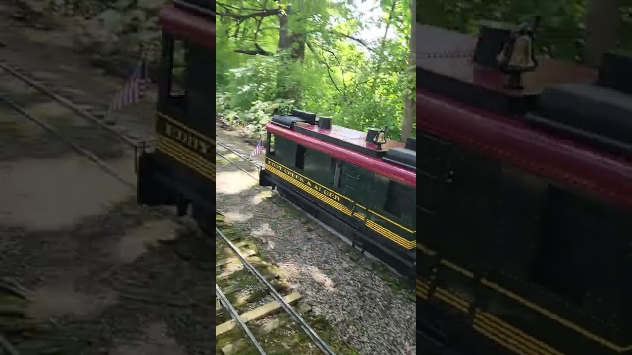 Three Passenger Trains at Oakley on the White Creek Railroad in ...