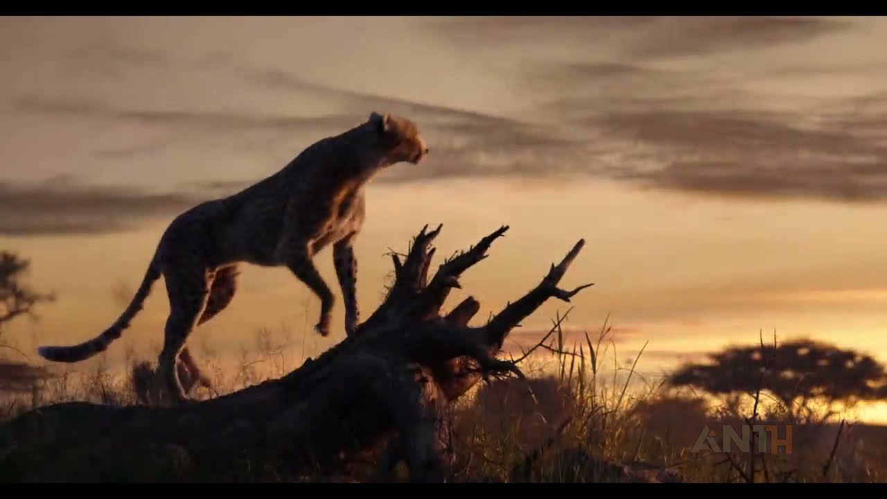 THE LION KING Full Movie Trailer # 3 2019 - YouTube