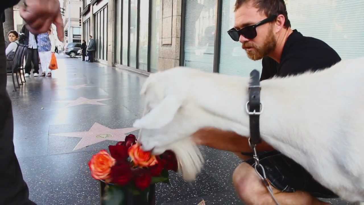 The Surfing Goat, Goatee and Me 2 (feat. Pismo the Kid) - YouTube