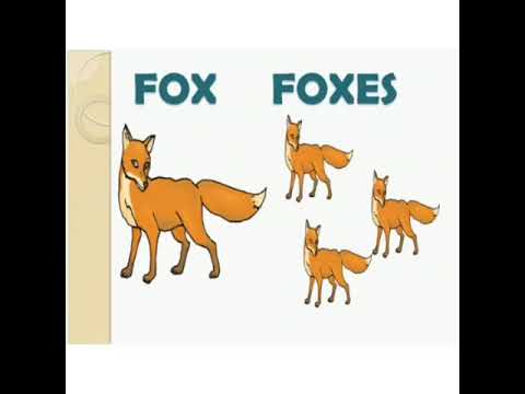 English Grammar : One and More than One (Class I) - YouTube