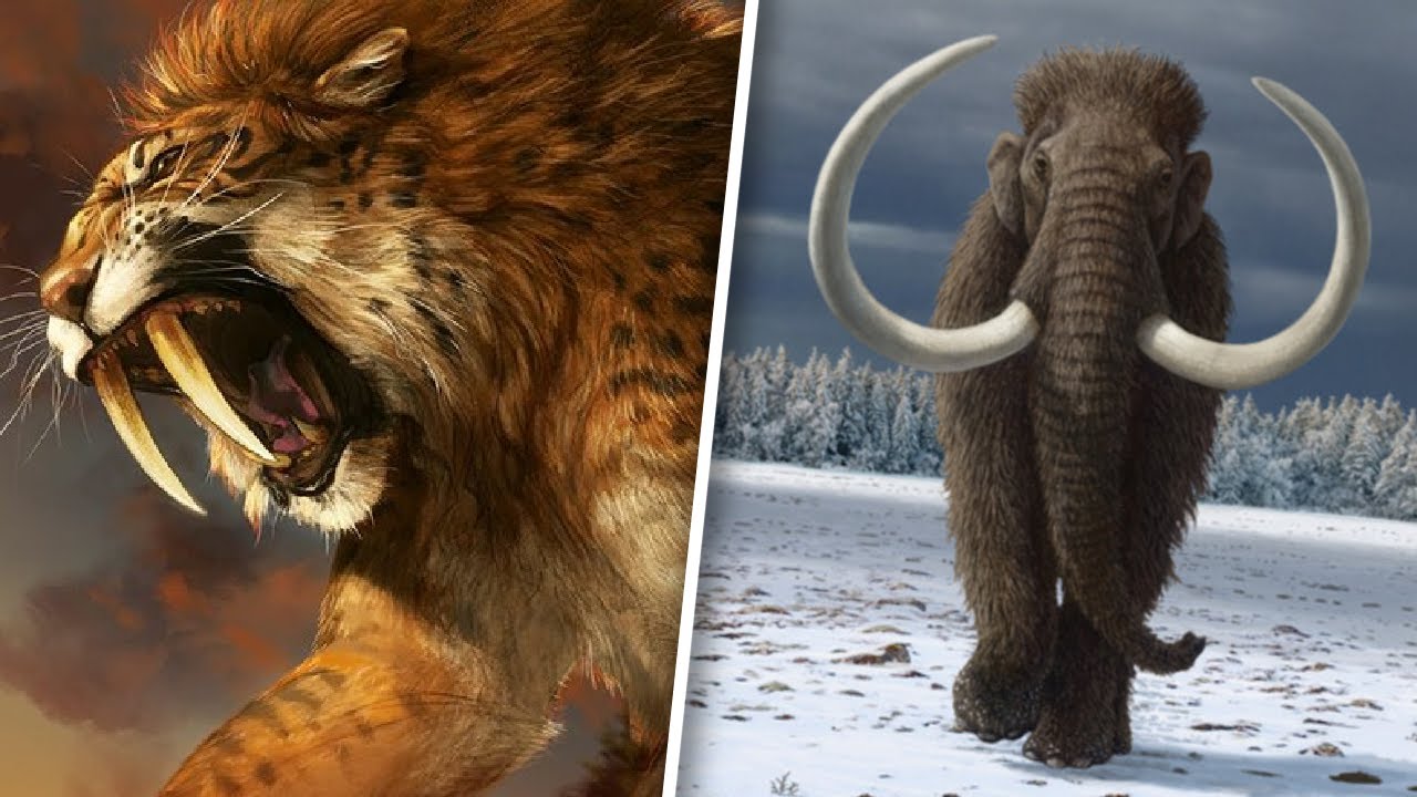 Top 10 Utrolige Dyr Fra Istiden! - YouTube