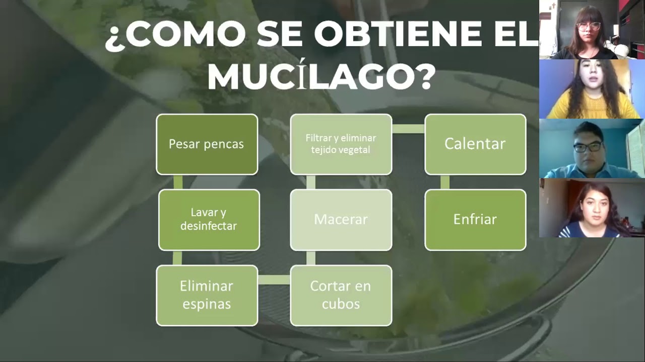 NOPA FLEX l Proyecto integradora UTCH l Procesos Industriales - YouTube